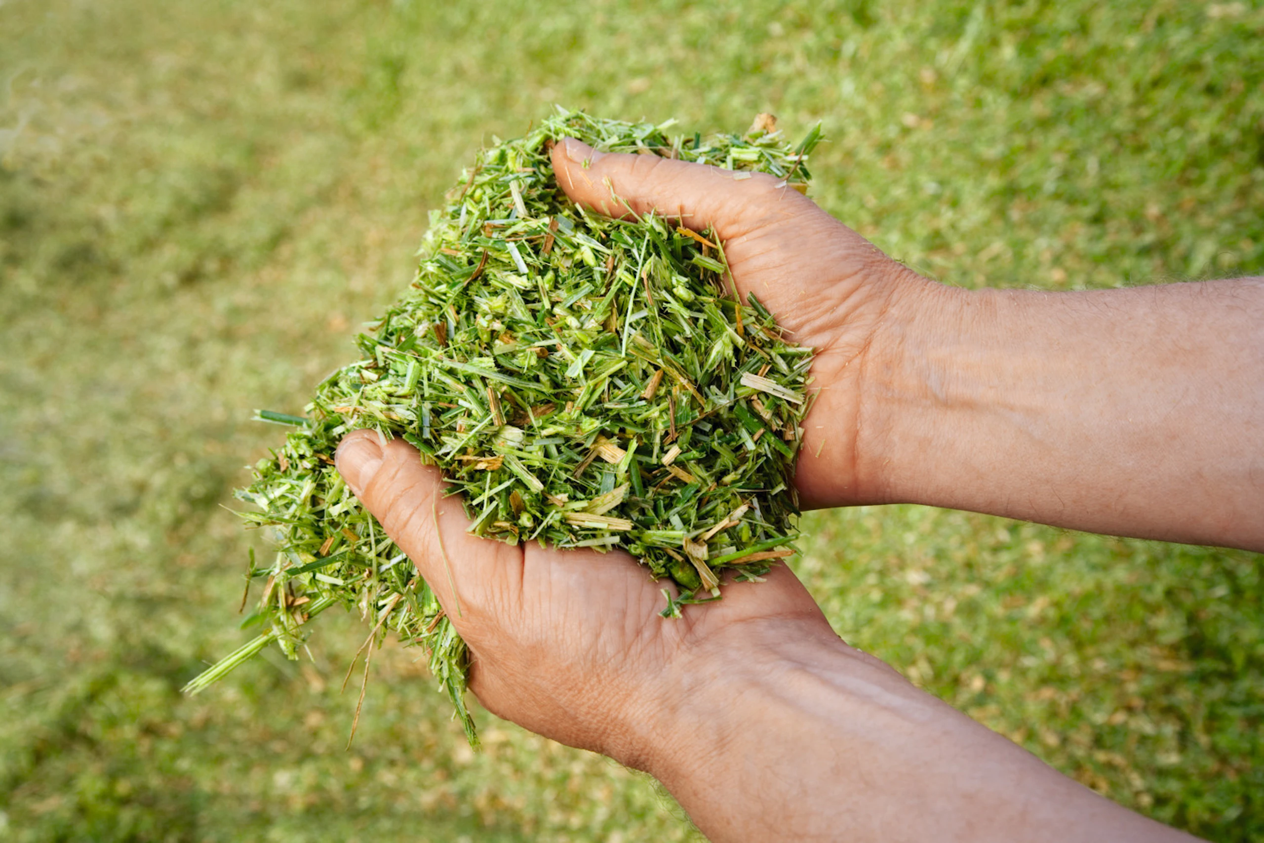 So gelingt die Grassilage