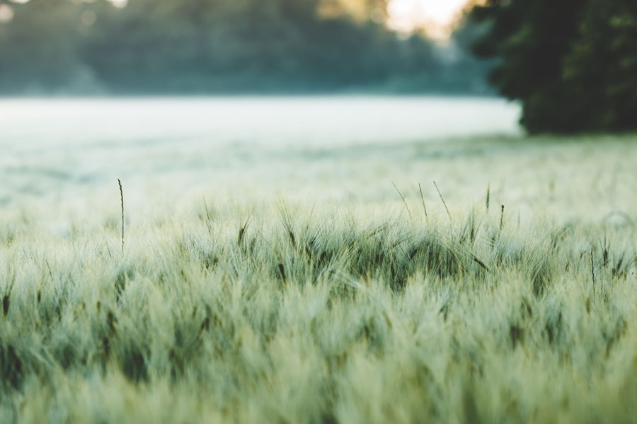 Setzt euch zusammen! – Teil 1 | Mentale Gesundheit
