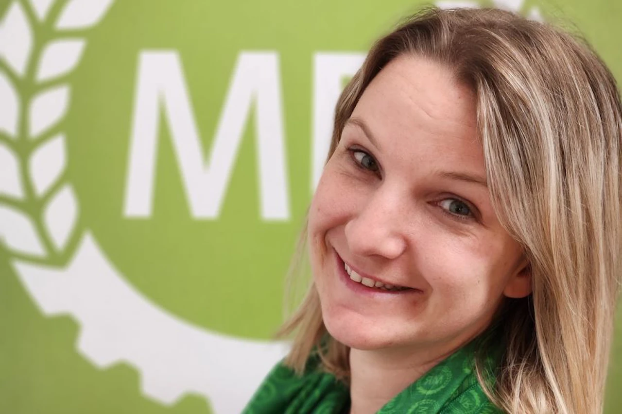 Mit dem Vollernter im Weinberg